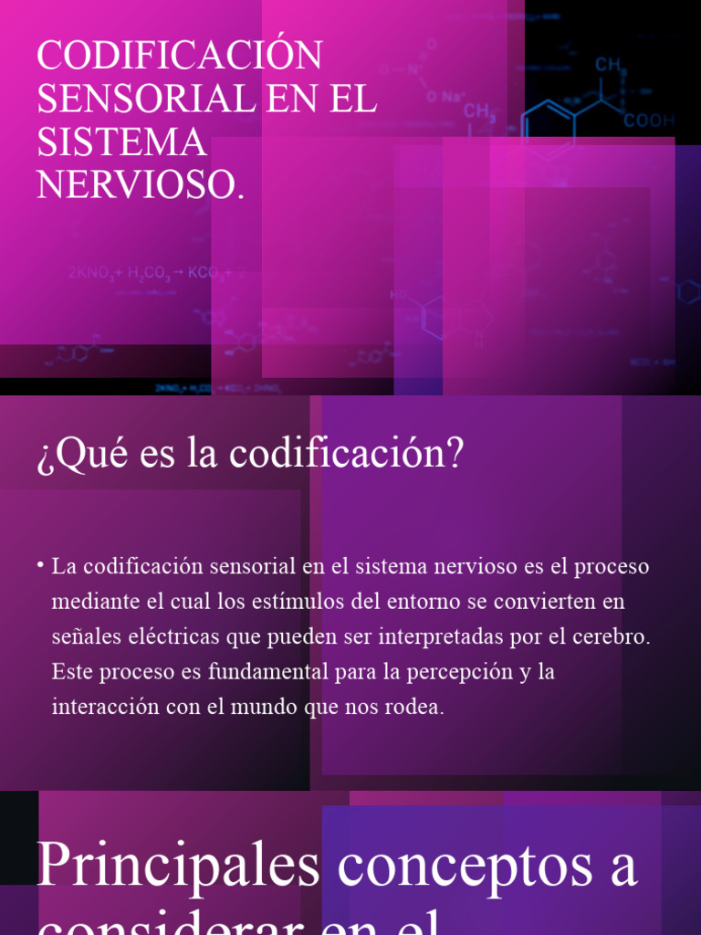 Codificación Sensorial en El | PDF | Sentidos | Potencial de acción