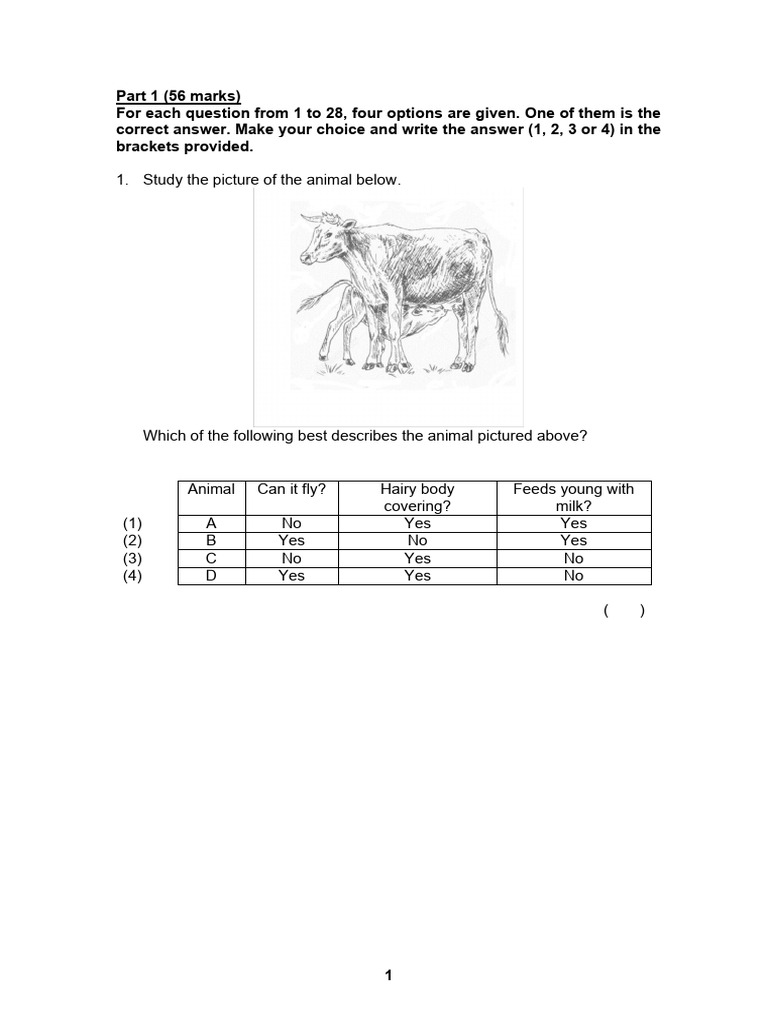 PSLE Science Past Exam Questions | PDF | Seat Belt | Flowers
