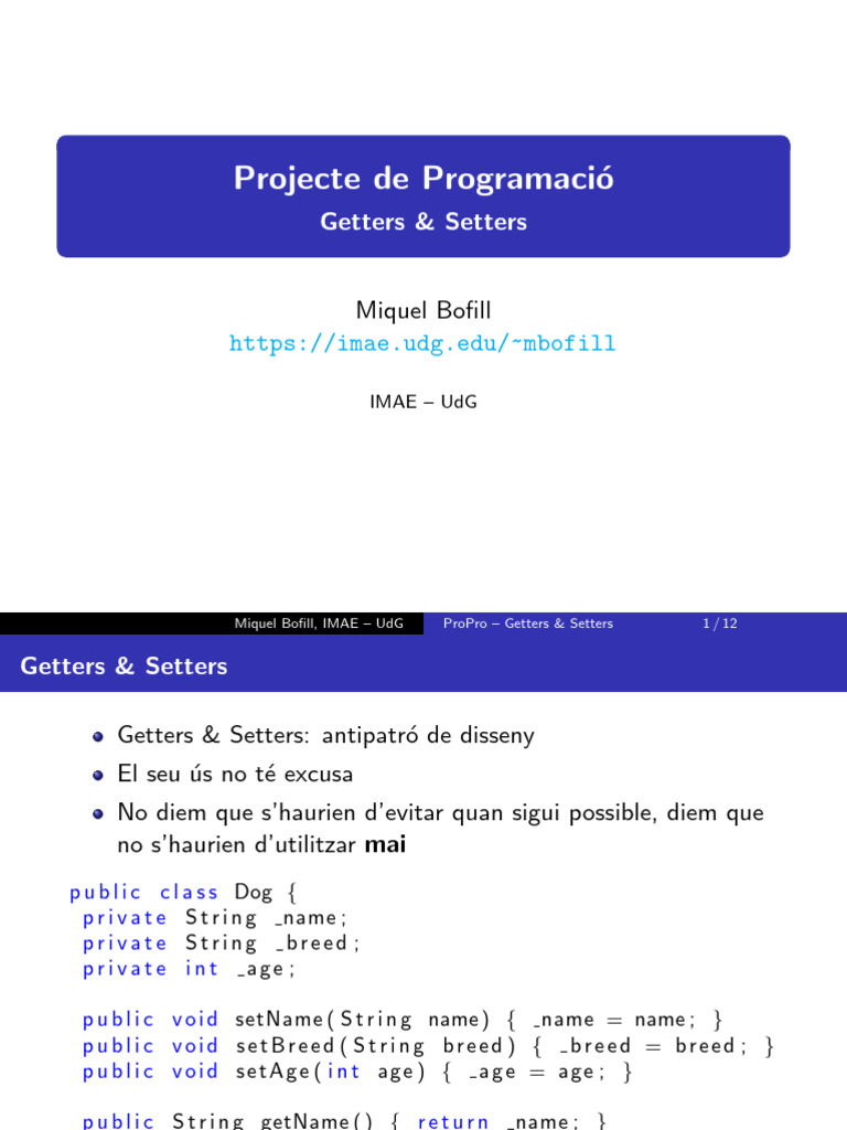 Getters Setters | PDF