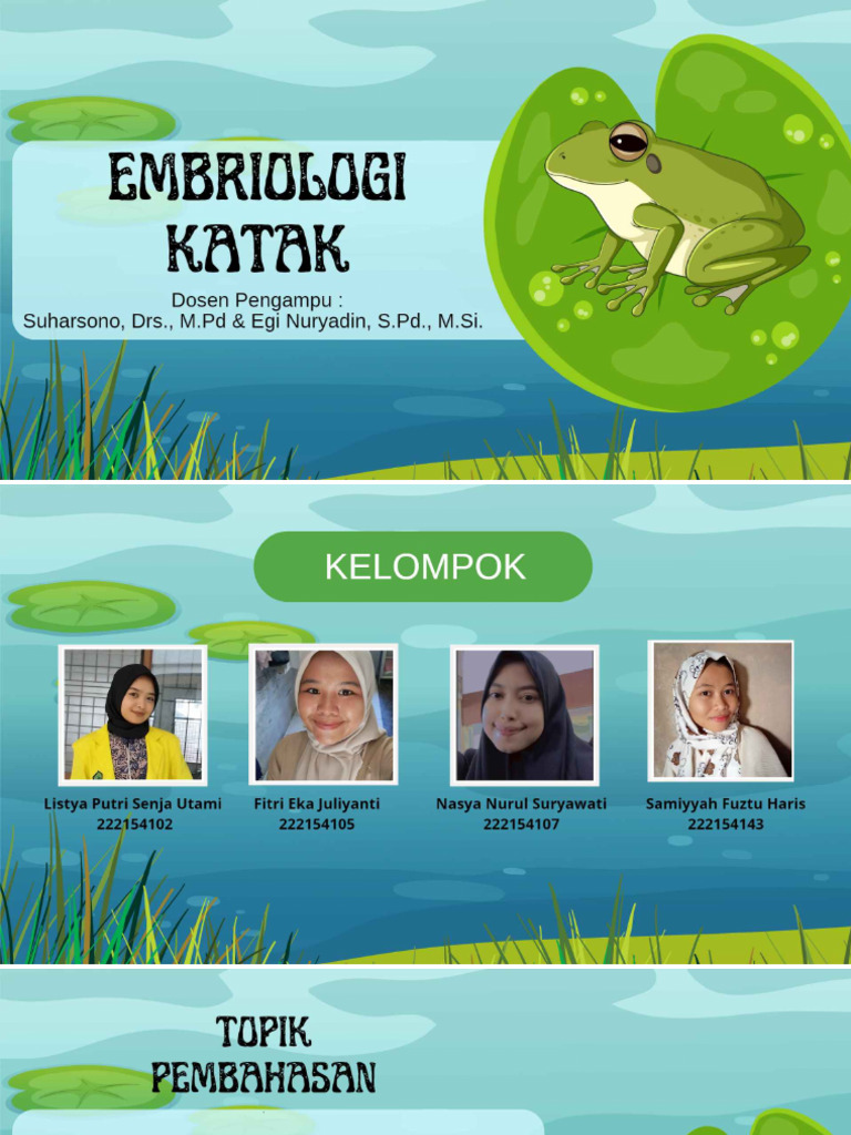 Kelompok 6 - Embriologi Katak - Kelas C | PDF