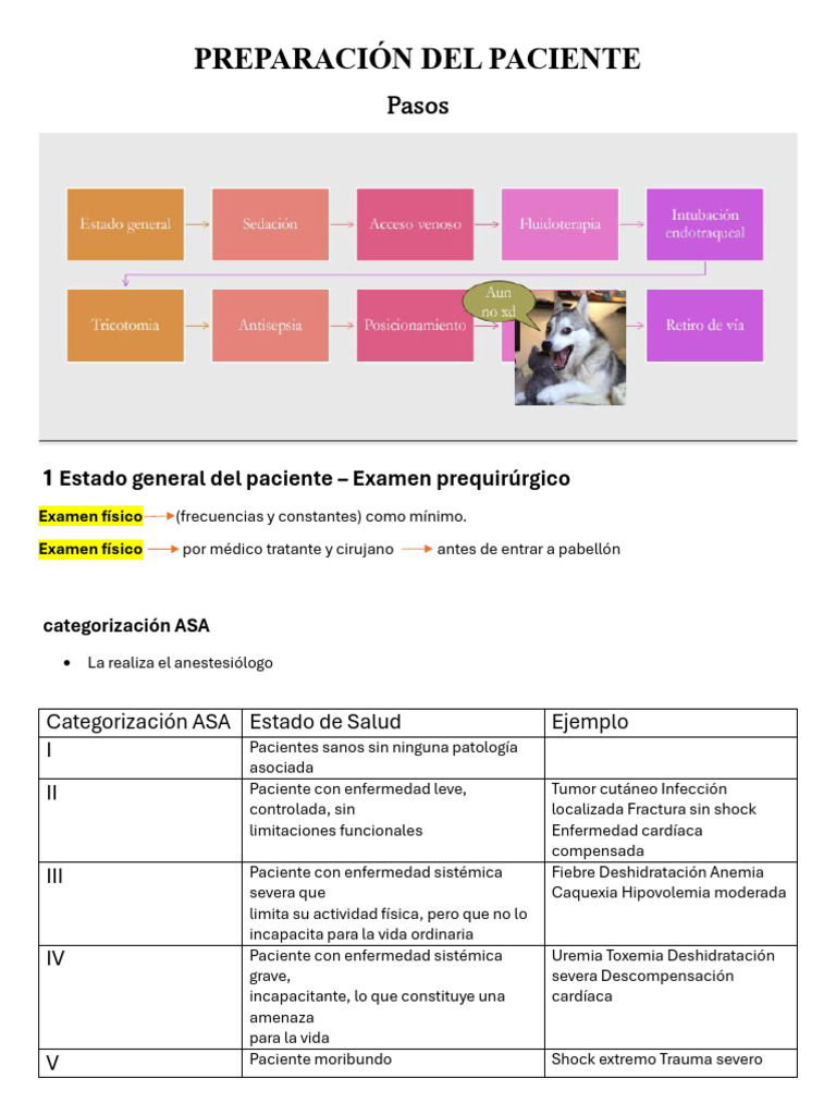 Preparación Del Paciente | PDF | Terapia intravenosa | Causas de la muerte
