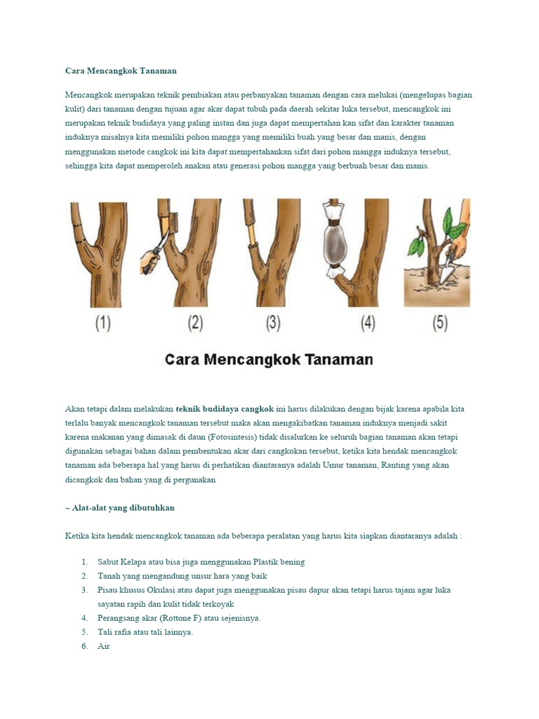 Teknik Mencangkok dan Menyetek Tanaman | PDF