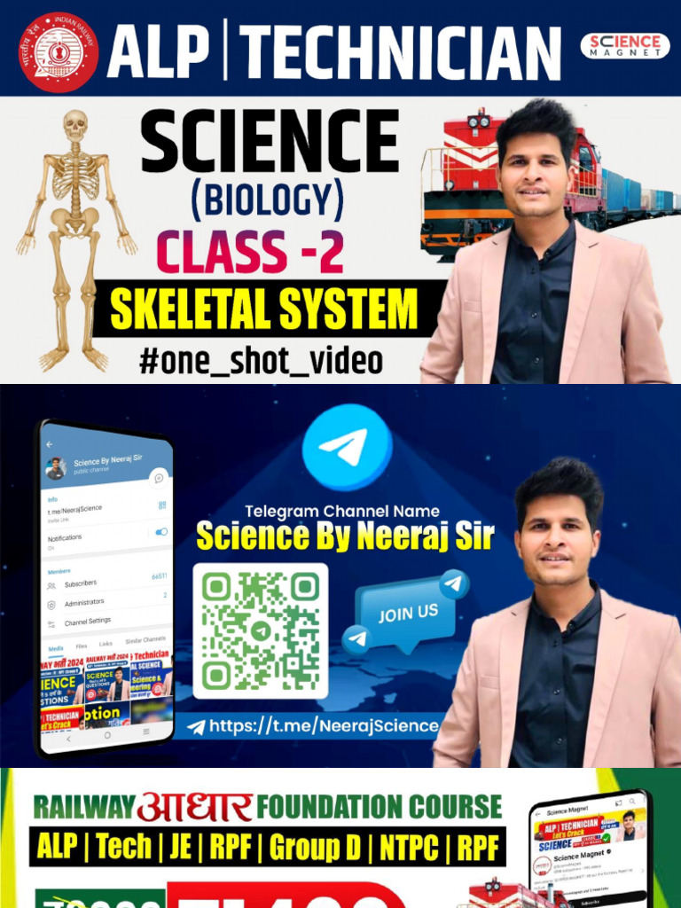 Skeletal System Yt | PDF