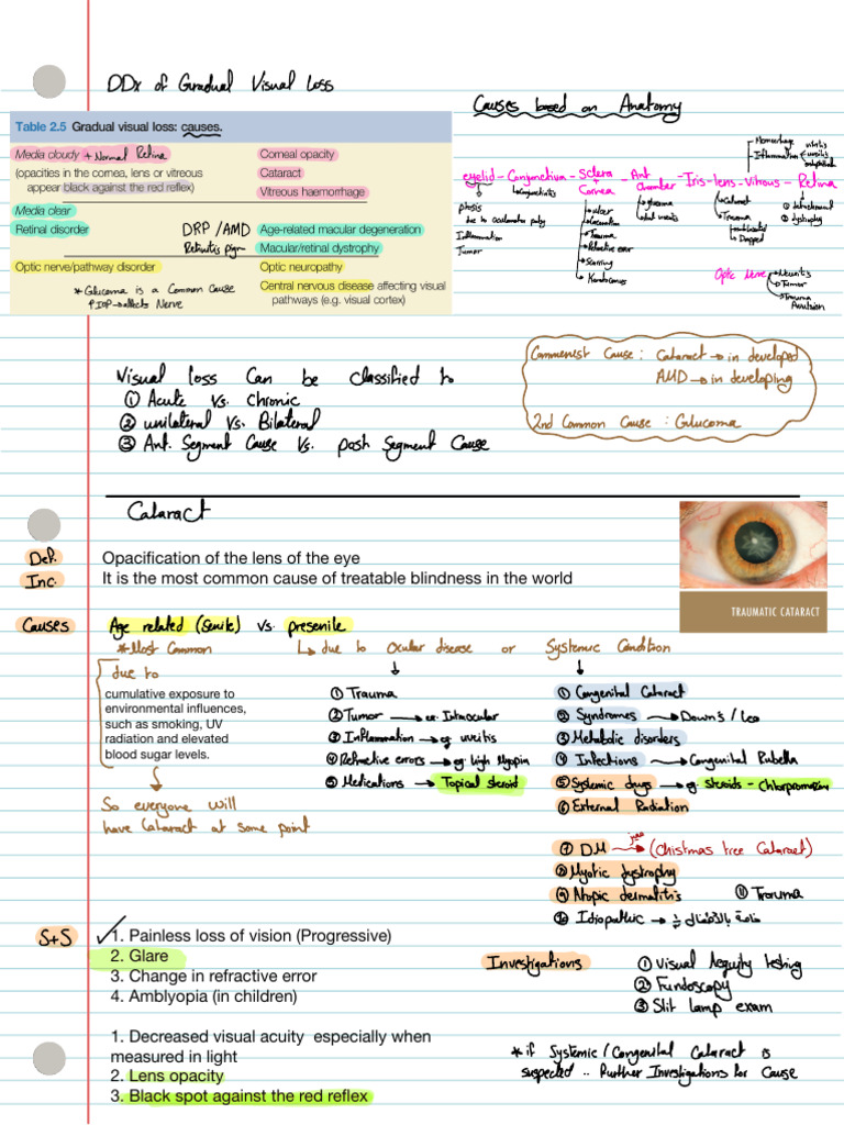 Causes of Gradual Vision Loss | PDF | Cataract | Visual Impairment