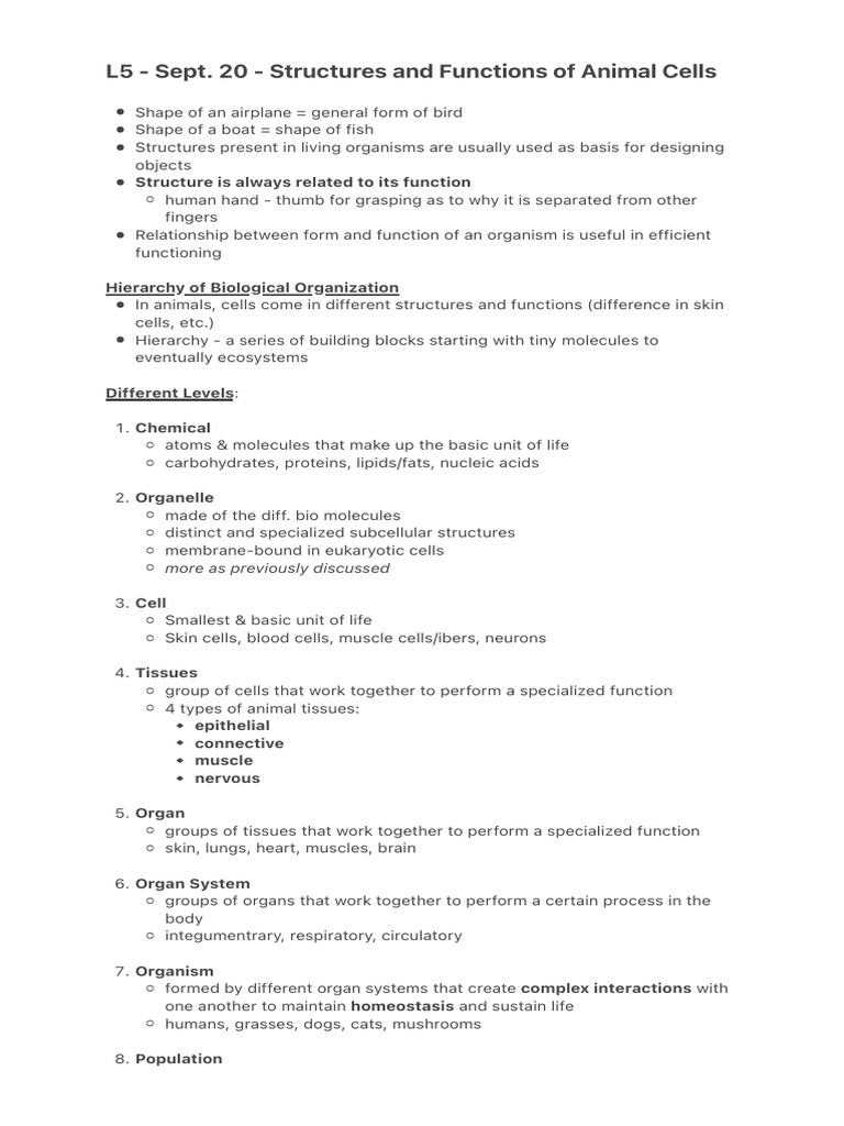L5 - Sept. 20 - Structures and Functions of Animal Cells | PDF | Epithelium | Histology