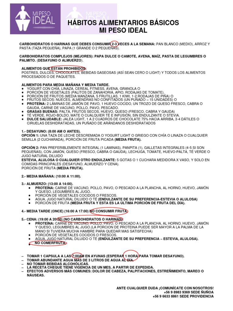 HABITOS ALIMENTARIOS BASICOS 2024 | Descargar gratis PDF | Cocina | Alimentos