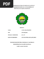 Death Conception FIX | PDF