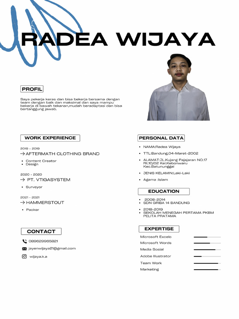 CV Dea Asli | PDF