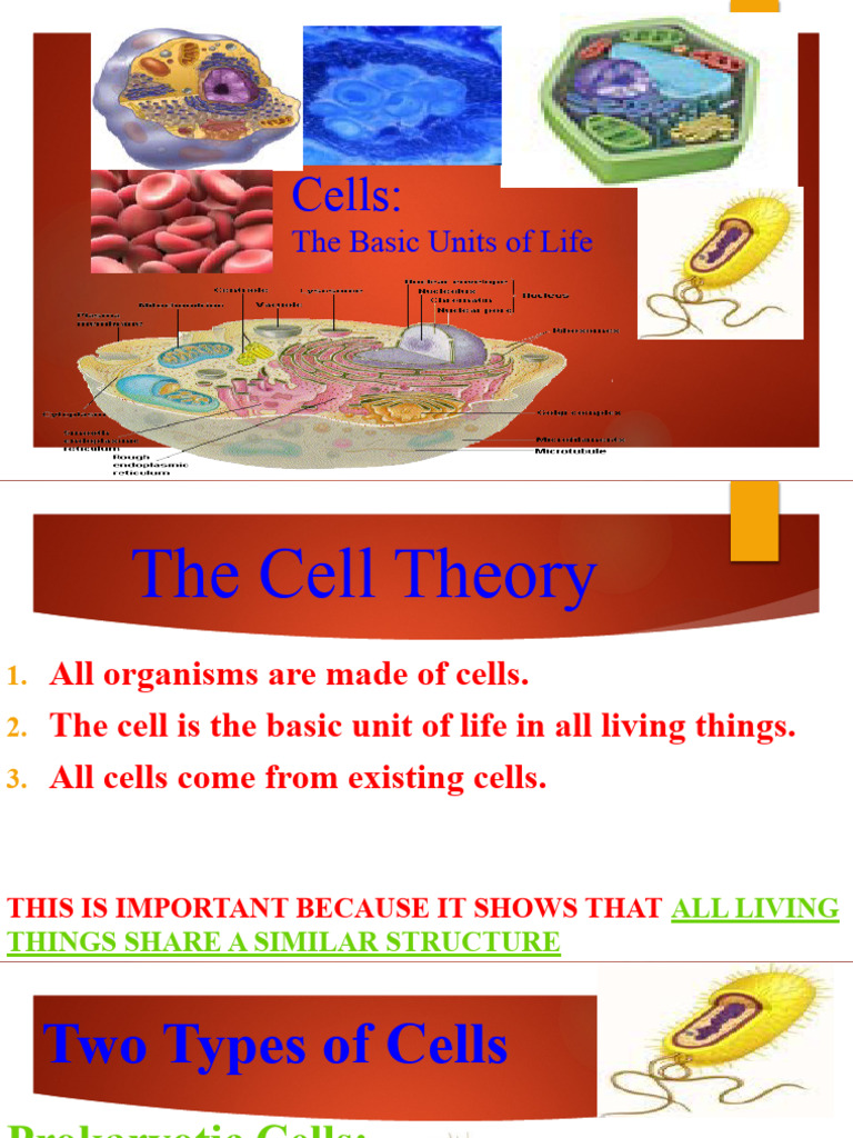 Lesson 2 for 2nd Quarter Els | Download Free PDF | Chloroplast | Cell ...