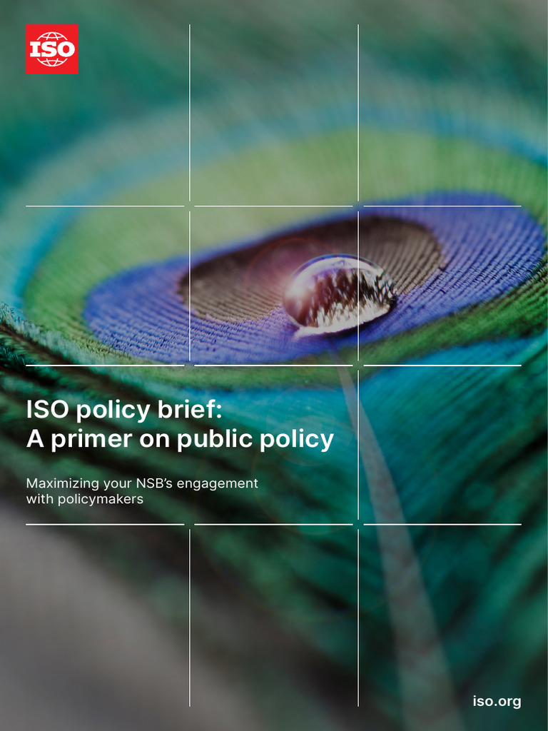 ISO - Public Policy Primer | PDF | Policy | Standardization
