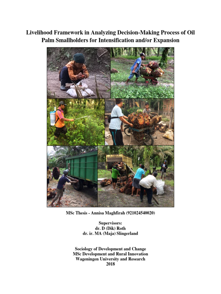 Livelihood Framework in Analyzing Decisionmaking - Groen Kennisnet ...