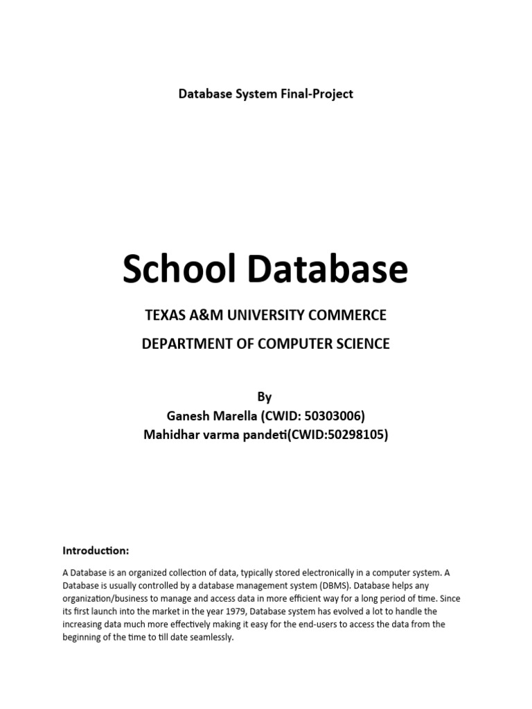 Database System Final Project | PDF | Databases | Relational Database