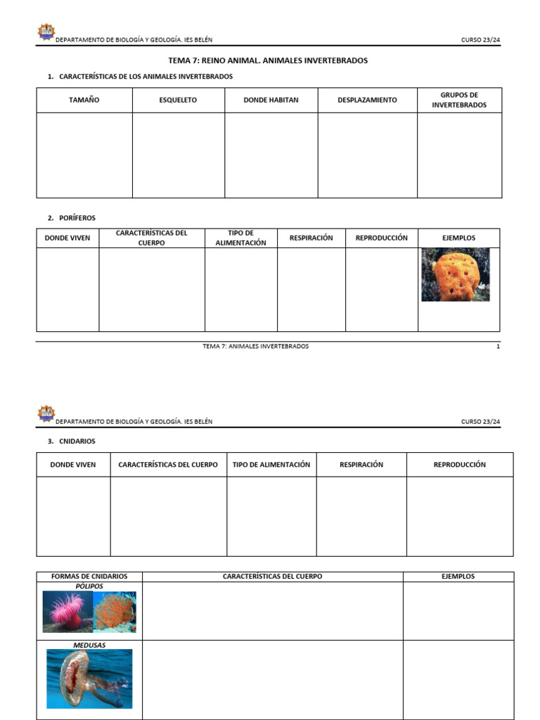 Ficha Tema 7 Animales Invertebrados | PDF | Invertebrado | Zoología