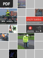 ASCE 38-22 SUE Deliverables Overview | PDF | Surveying | Accuracy And ...