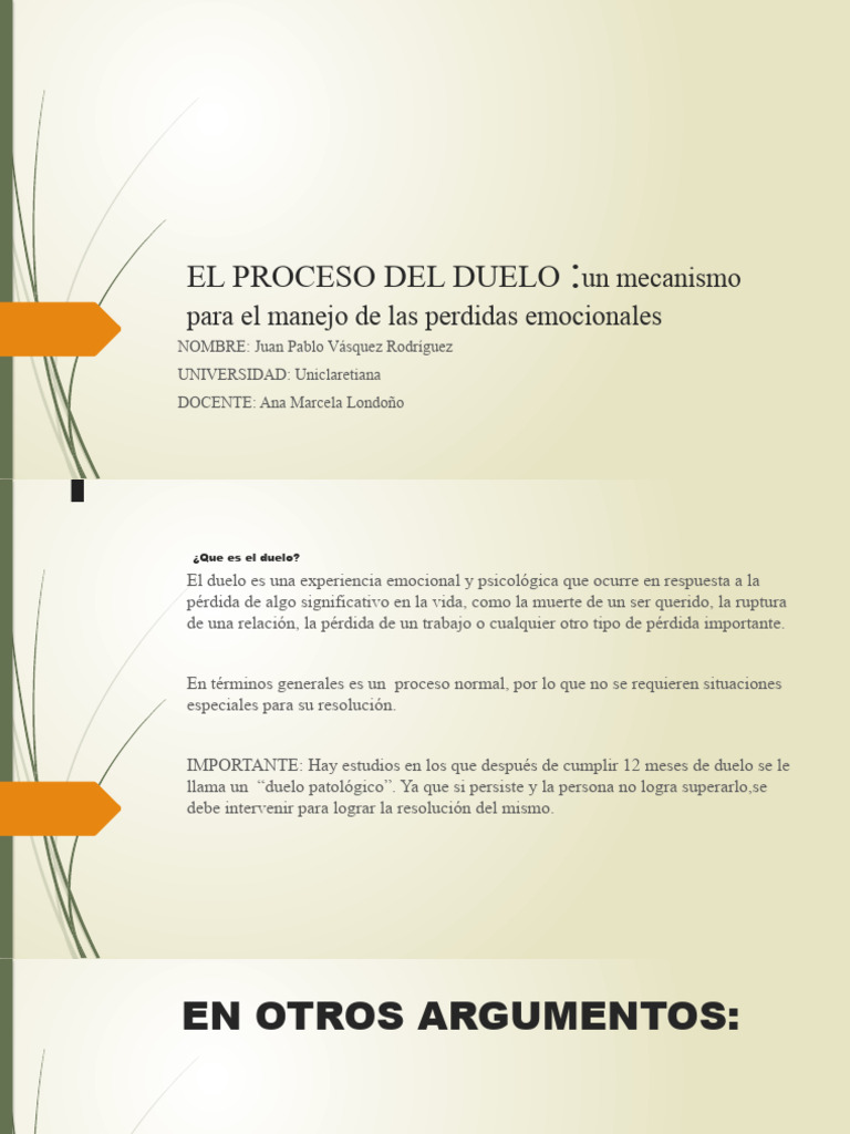 El Proceso Del Duelo Exposicion | PDF | Dolor | Las emociones
