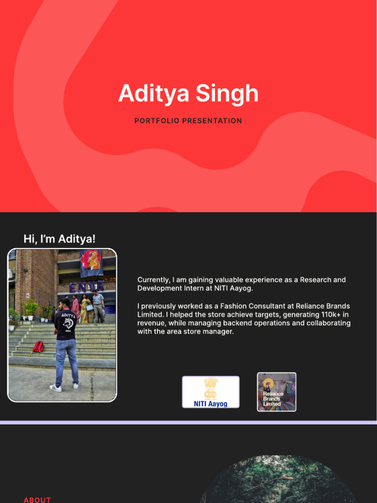 Aditya Portfolio Presentation | PDF | Spreadsheet | Computing