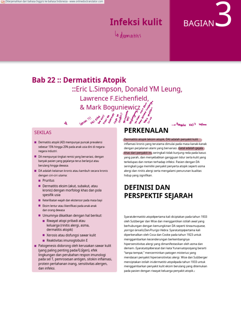 Dermatitis en Id | PDF