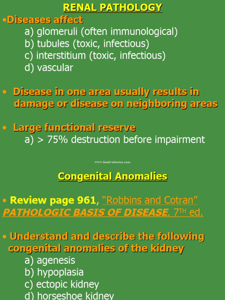 Renal Patho Complete (Dr.rafia Slides) | PDF | Urinary Tract Infection ...