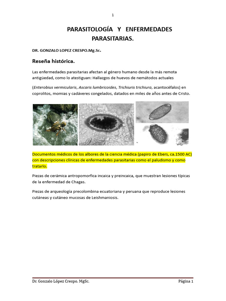 Parasitologia Y Enfermedades Parasitarias I Word Docx Descargar