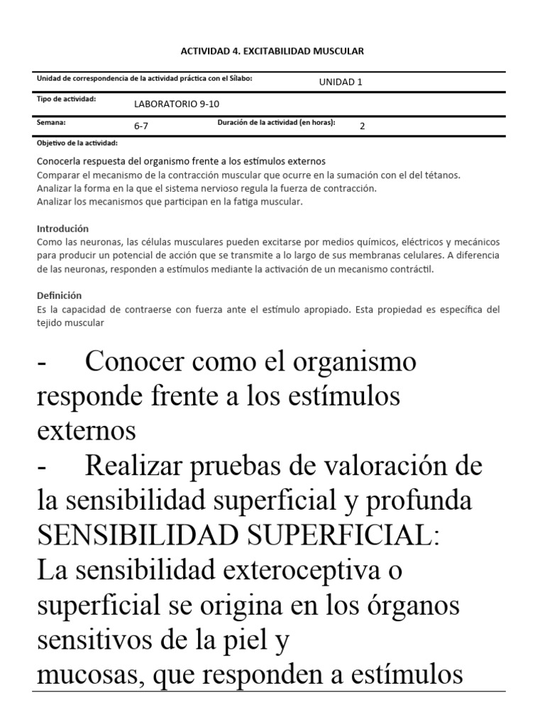 Excitabilidad Muscular y Sensibilidad | PDF | Músculo | Neurona