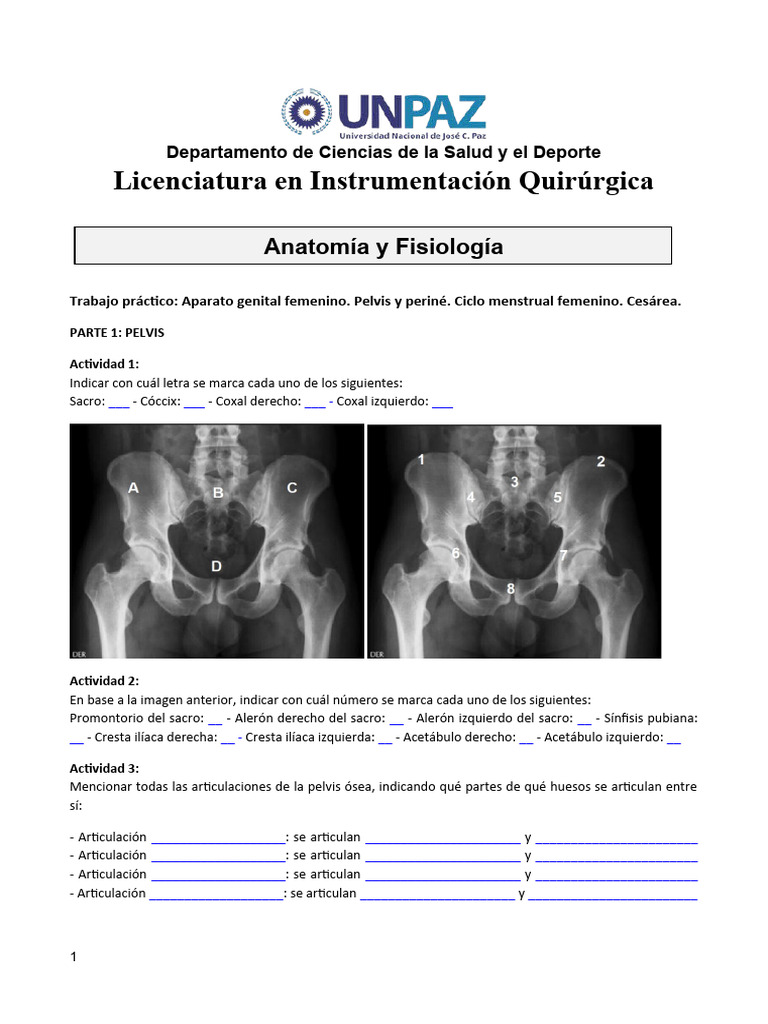 TP17 Aparato Genital Femenino, Ciclo Menstrual, Pelvis y Periné, Cesárea | PDF | Útero | Pelvis
