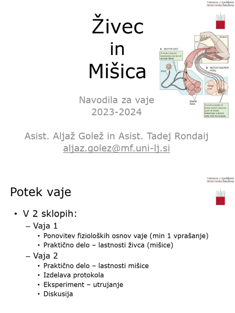 Zivec in Misica - Navodila Za Vaje - 23-24 | PDF