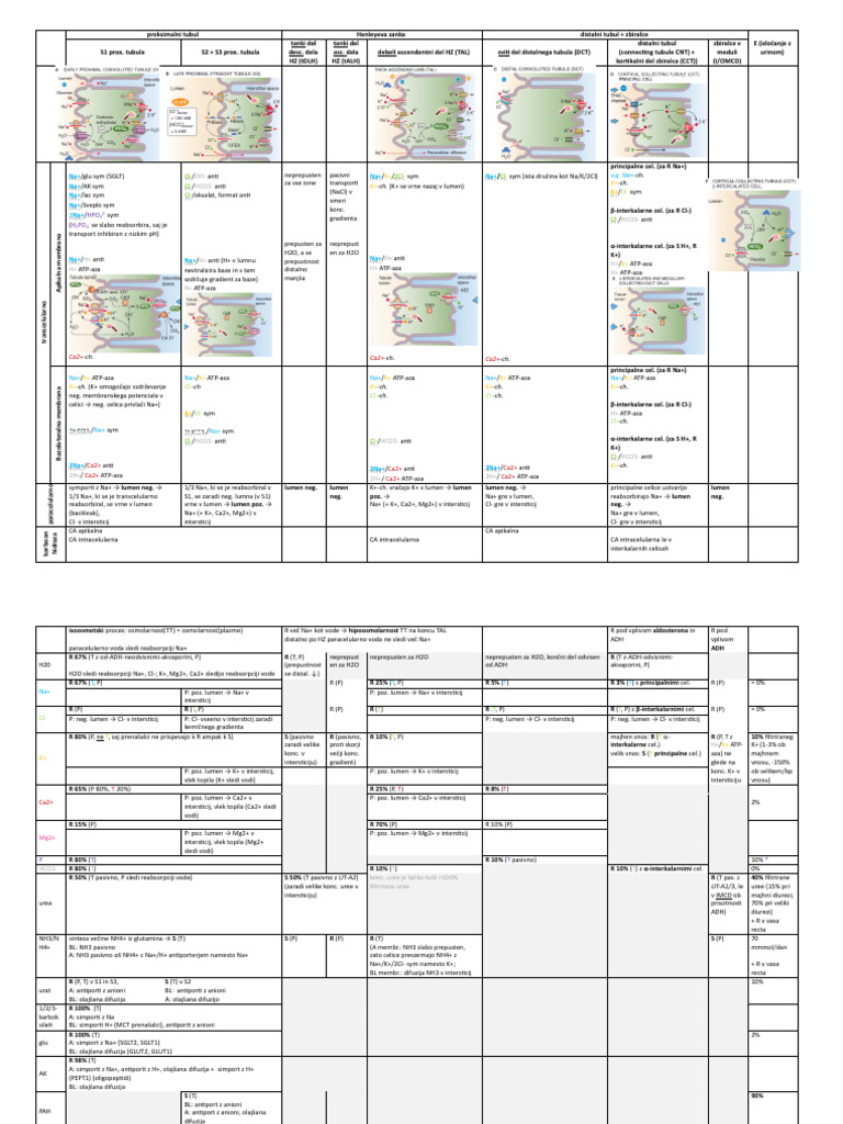 LEDVICE tabela prenašalcev | PDF