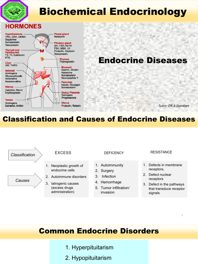 Endocrine Disorders | PDF | Polycystic Ovary Syndrome | Thyroid