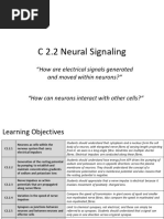Metaneuron Manual | PDF | Inhibitory Postsynaptic Potential | Membrane ...