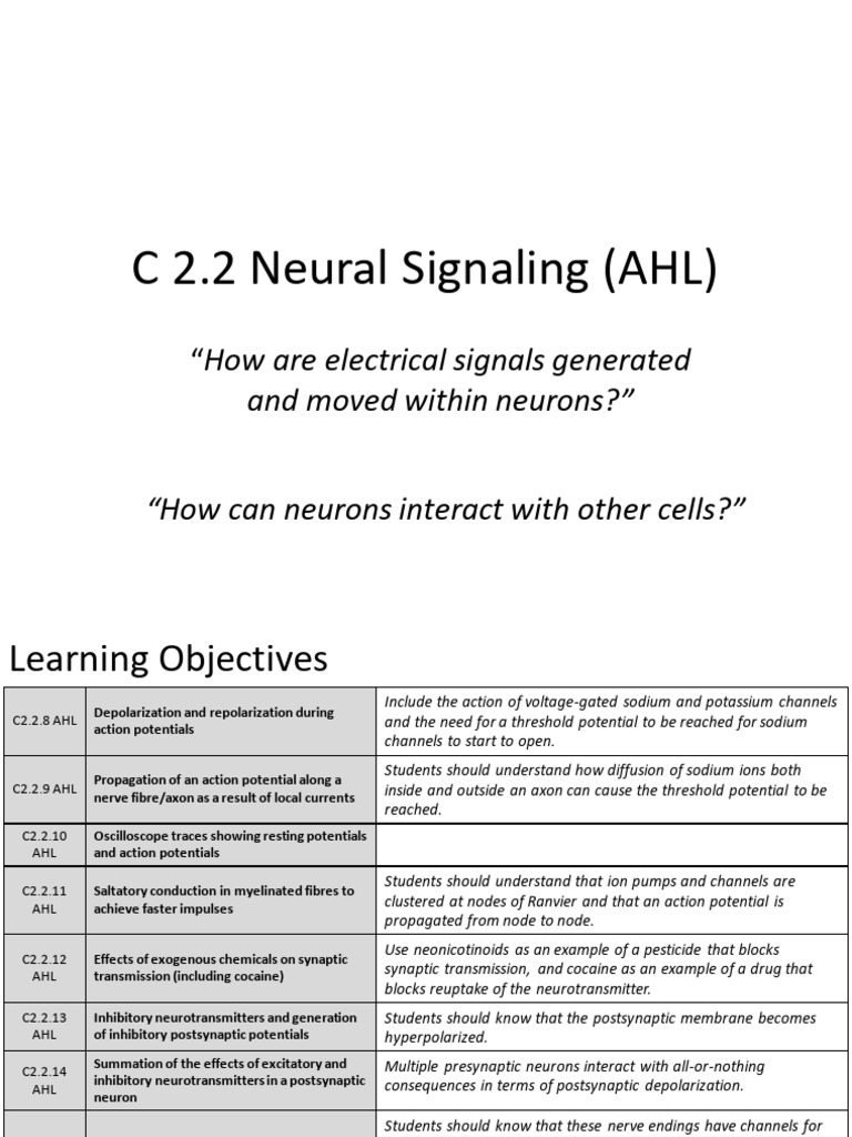C 2.2 HL Neural Signaling | PDF | Action Potential | Depolarization