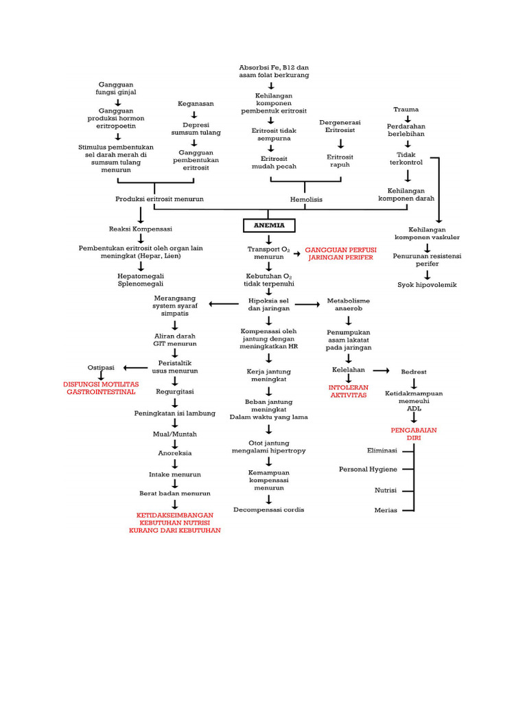 Contoh Woc Anemia | PDF