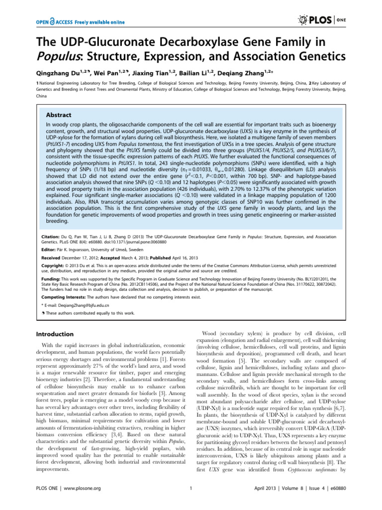 The UDP-Glucuronate Decarboxylase Gene Family in | PDF | Single ...
