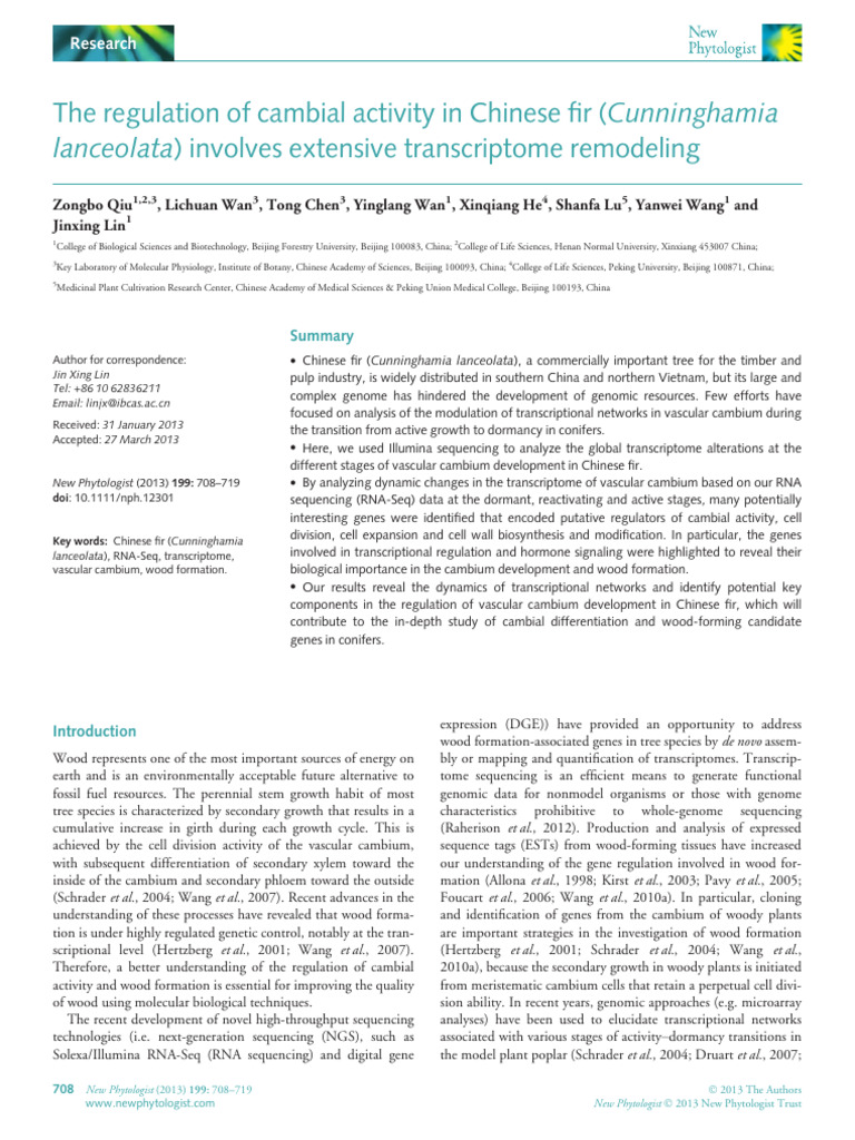 The Regulation of Cambial Activity in Chinese R (Cunninghamia | PDF ...