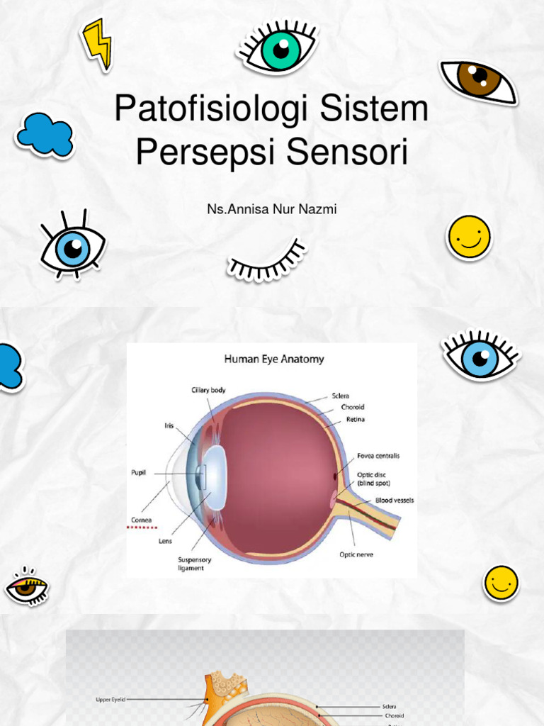 Patofisiologi Persepsi Sensori | PDF