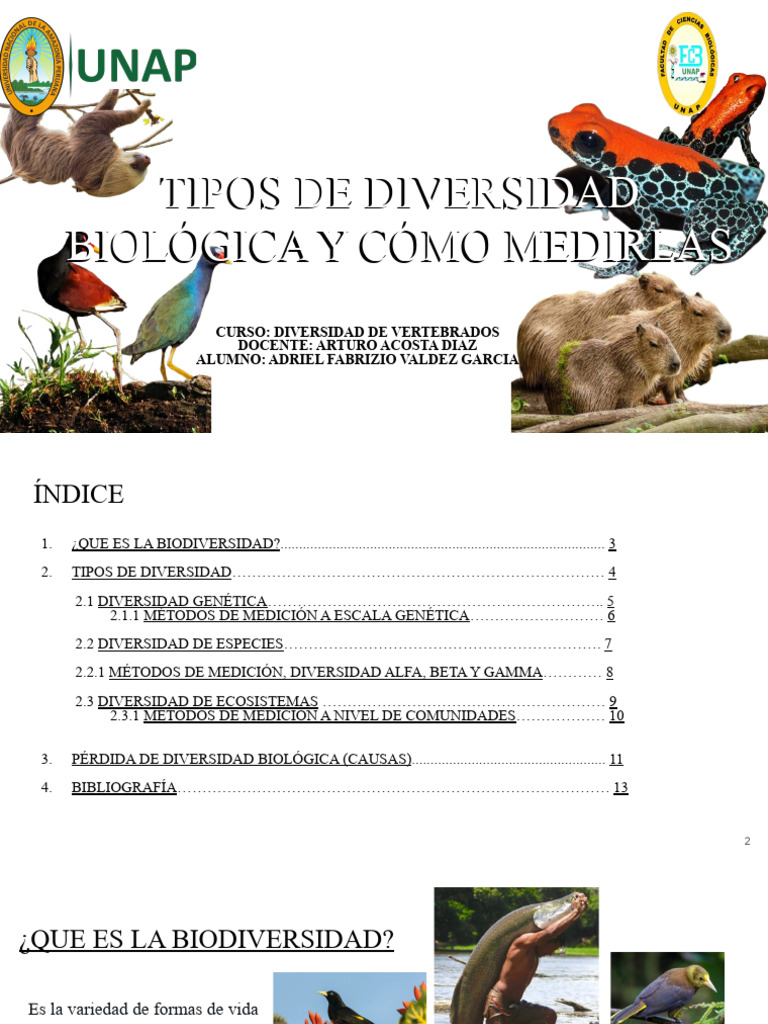 Tipos de Diversidad Biológica y Cómo Medirlas | PDF | Biodiversidad | Ecología