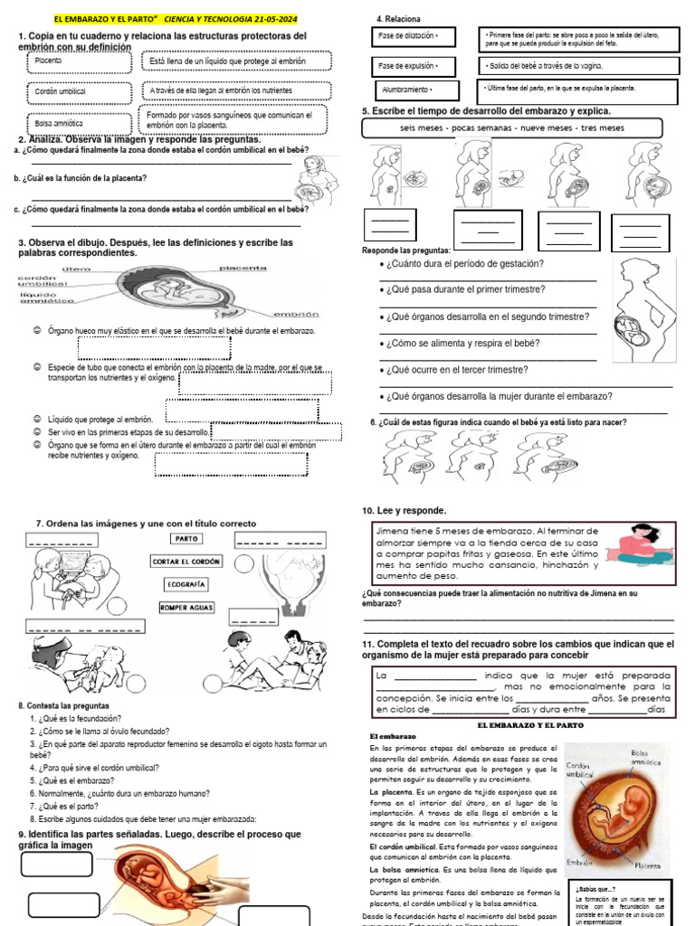 Ficha C. T. 21-05-2024 | PDF | El embarazo | Placenta