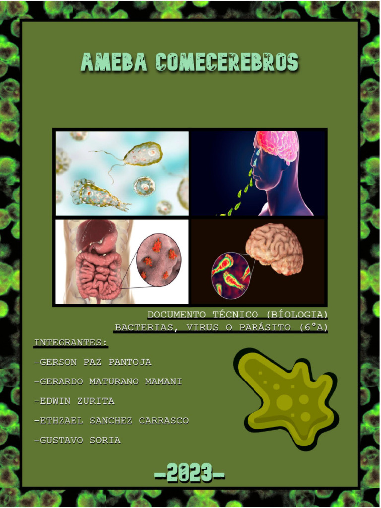 Amebas: Características y Enfermedades | PDF | Biología | Especialidades Medicas