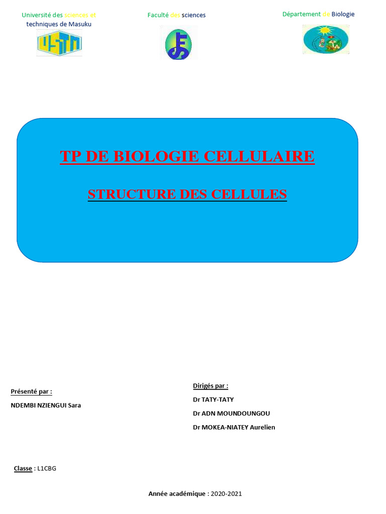Rapport de TP | PDF | Cellule (Biologie) | Cytoplasme