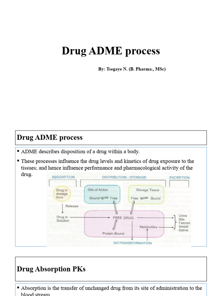 ADME Process | PDF | Drug Metabolism | Chemistry