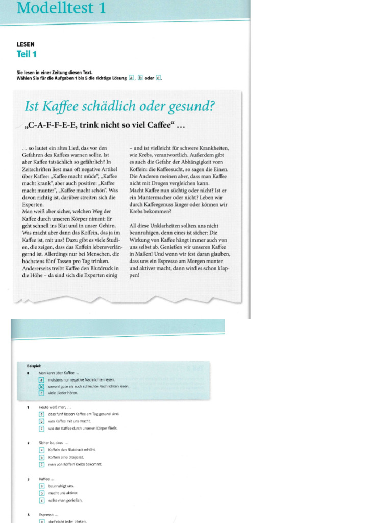 Lesen A1 Probe | PDF