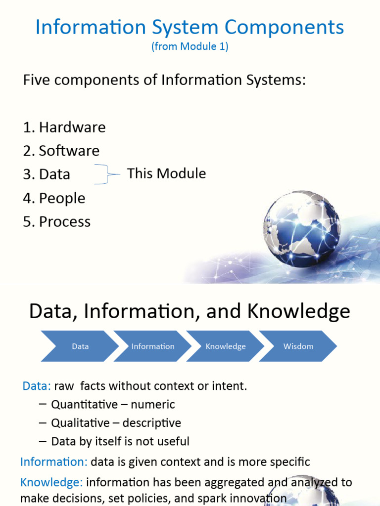 MISY2010 - Module 5 Database Student | PDF | Databases | Data Warehouse