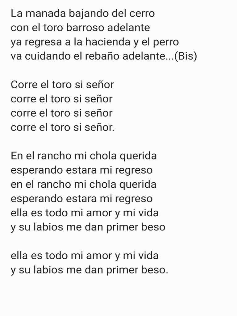 Toro Barroso - 220511 - 150739 | PDF