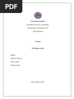Aspectos da Costa: Tipos e Definições | PDF