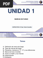 Norma E.010 Madera | PDF | Madera | Viga (Estructura)