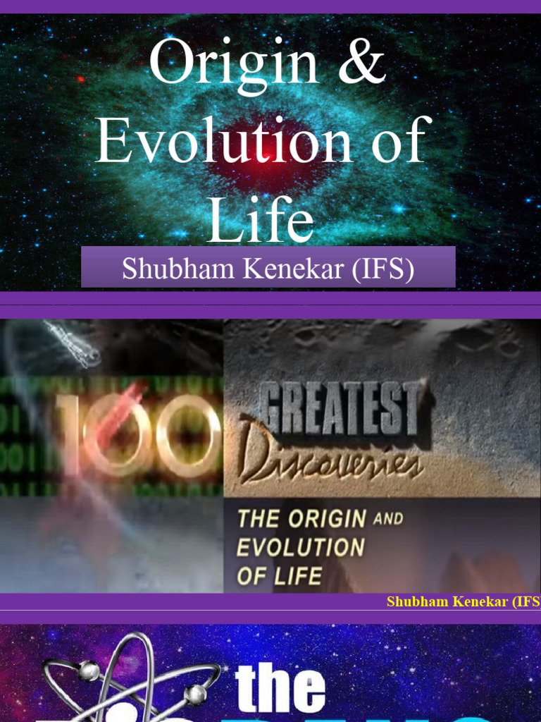 Origin & Evolution | PDF | Genetics | Genetic Variation