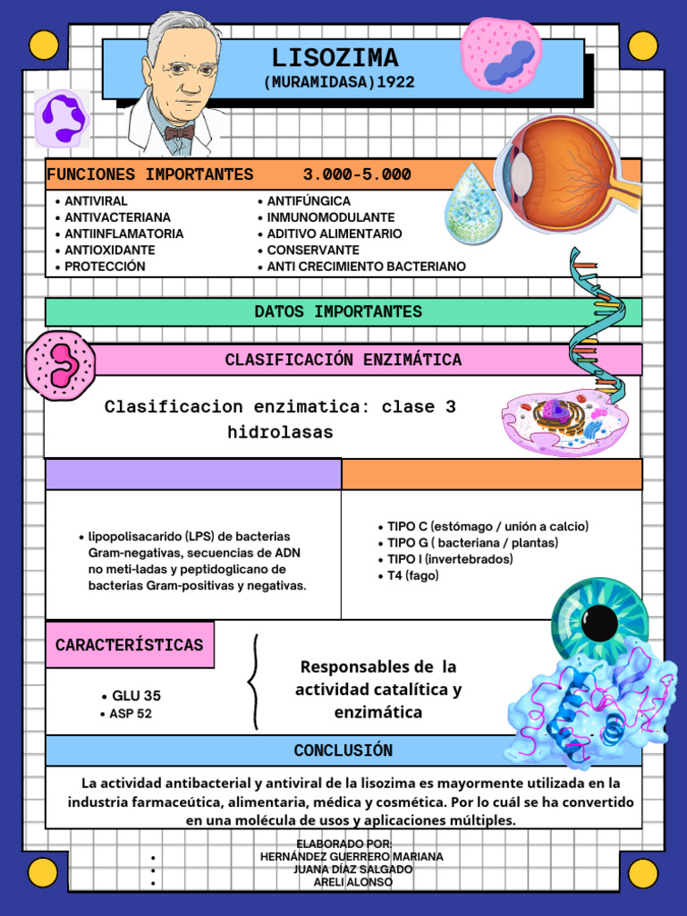 Infografía Lisozima | PDF | Ciencia y matemática