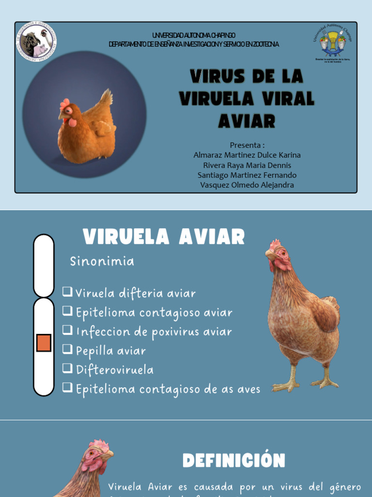 Viruela Aviar-Presentacion | PDF | Virus | Viruela