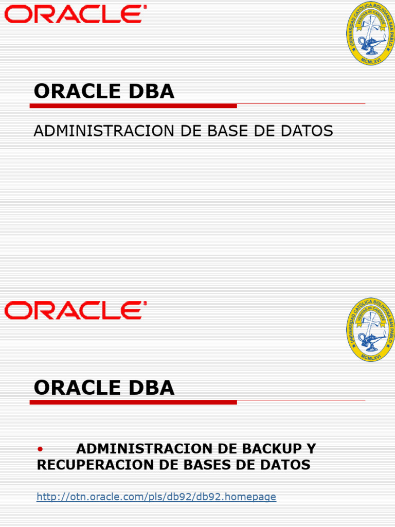 Backup y Recuperación en Oracle DBA | PDF | Apoyo | Bases de datos