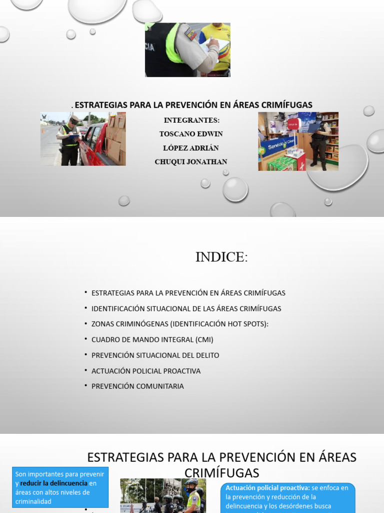 Presentacion 2 | PDF | Policía | Pandilla