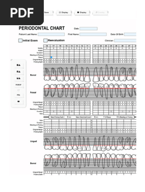 Printable Periodontal Chart